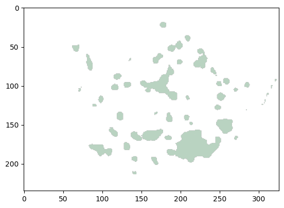 AutoMM for Semantic Segmentation - Quick Start - AutoGluon 1.1.1 documentation