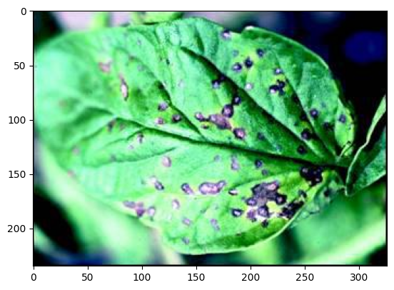 AutoMM for Semantic Segmentation - Quick Start - AutoGluon 1.1.2 documentation