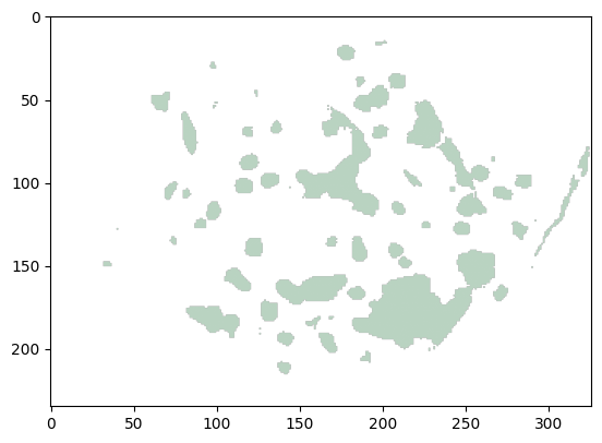 AutoMM for Semantic Segmentation - Quick Start - AutoGluon 1.1.2 documentation